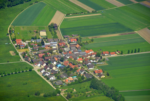 DIANA – Terra Software Solutions